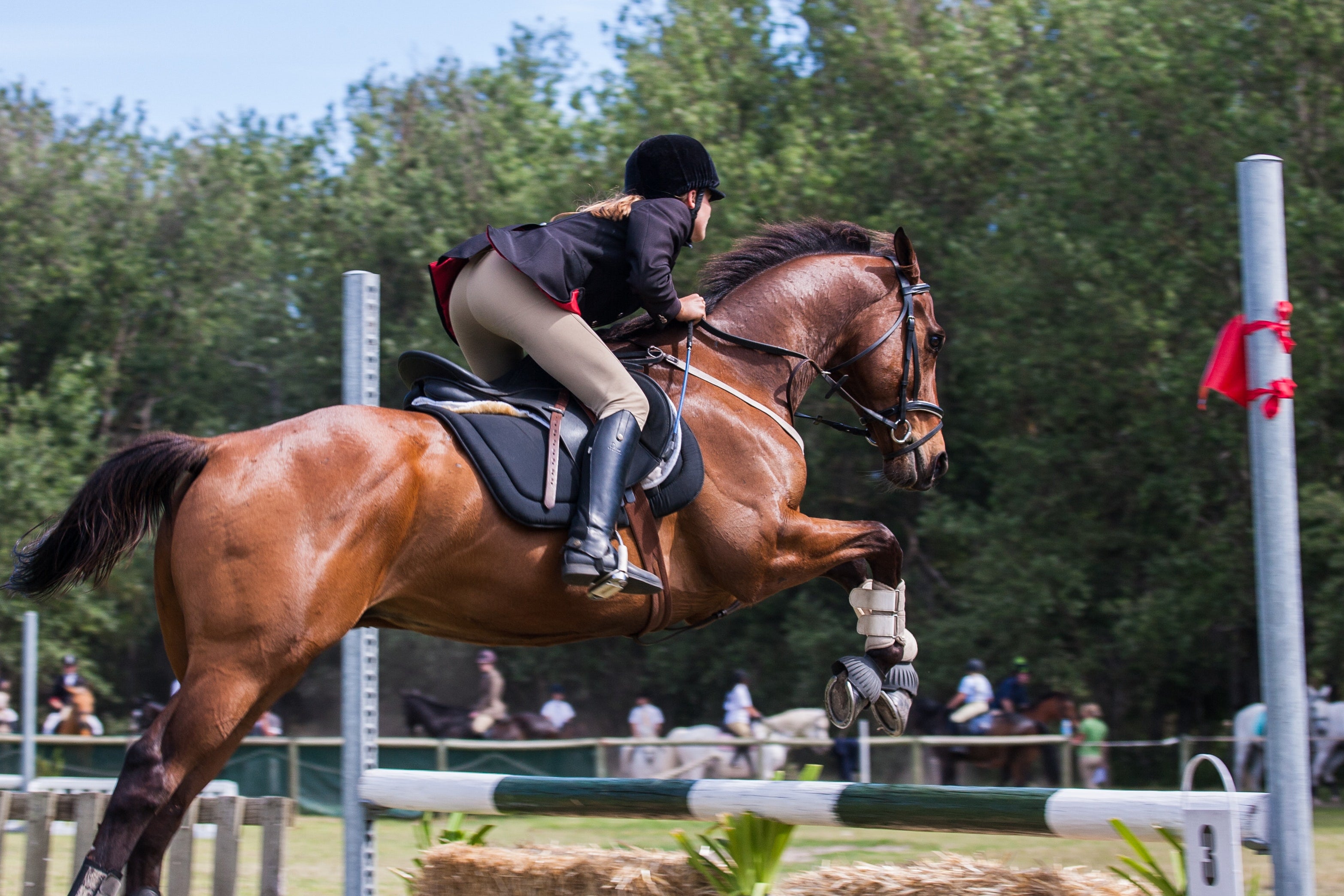 The World of Baltex Sports Protection Fabrics — TECHNICALFABRICS.NET